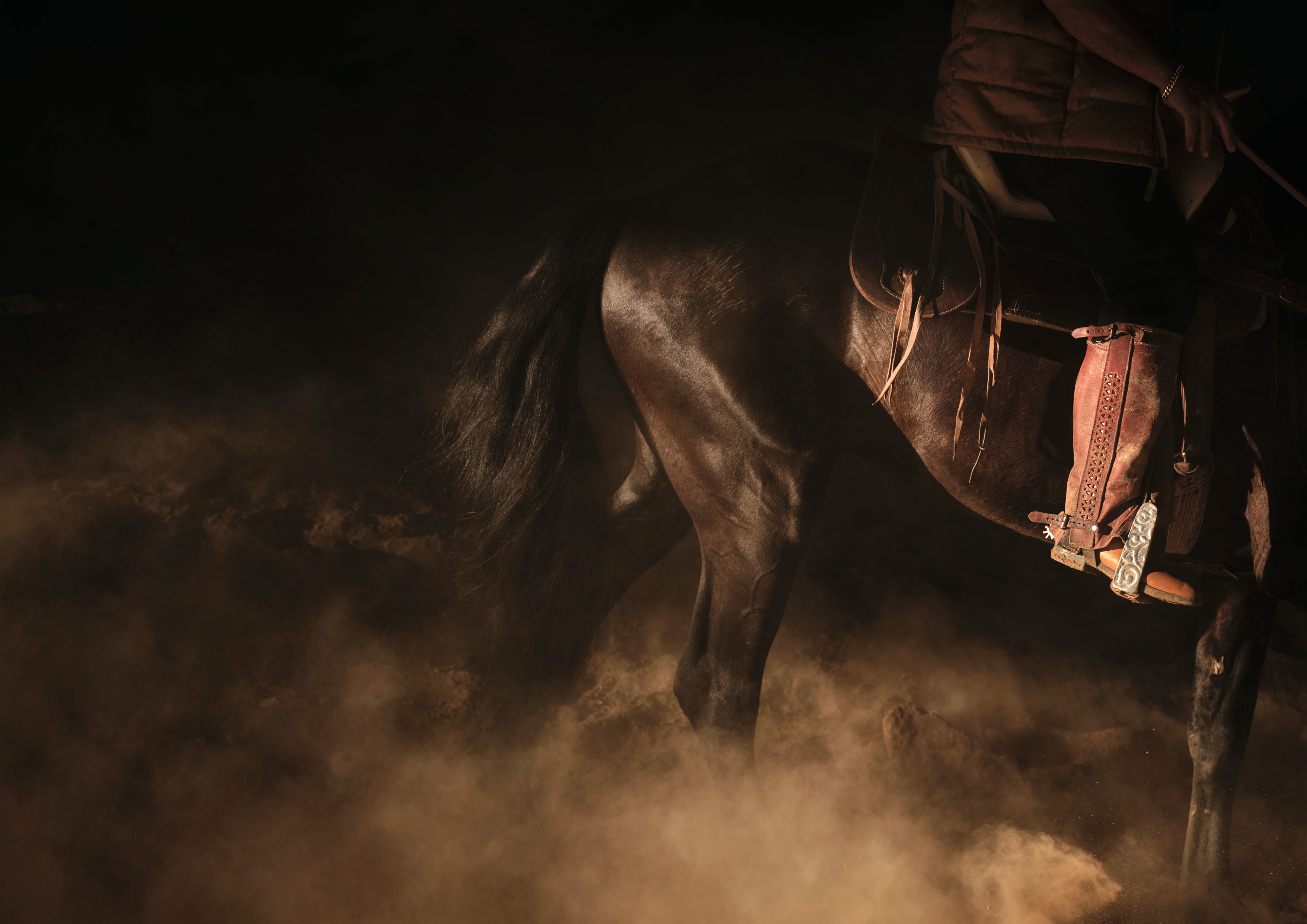 The Southwest – Canvasmap