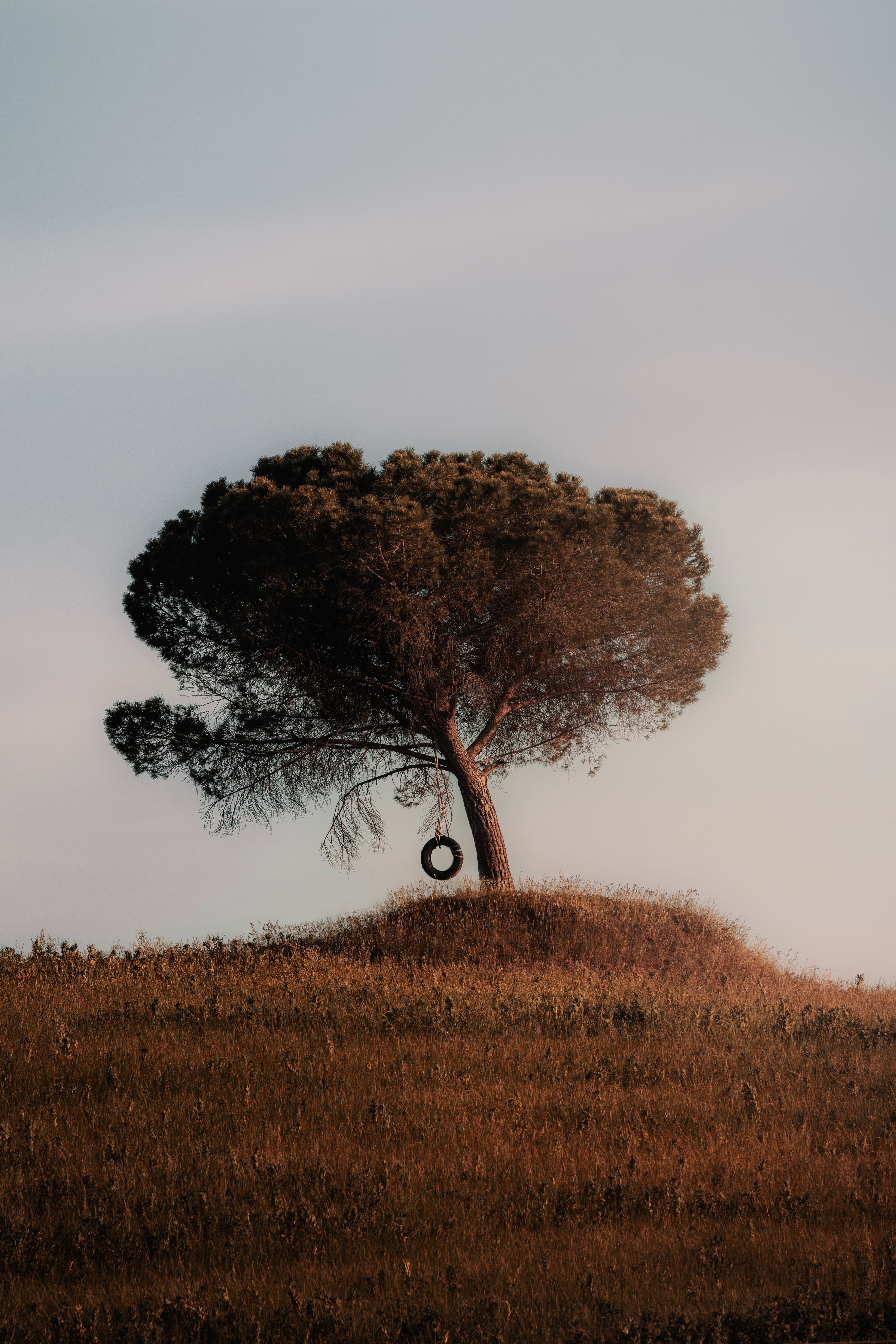 Adventure – Canvasmap